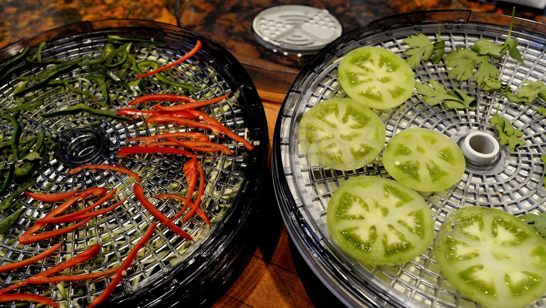 Master the art of food dehydration at home