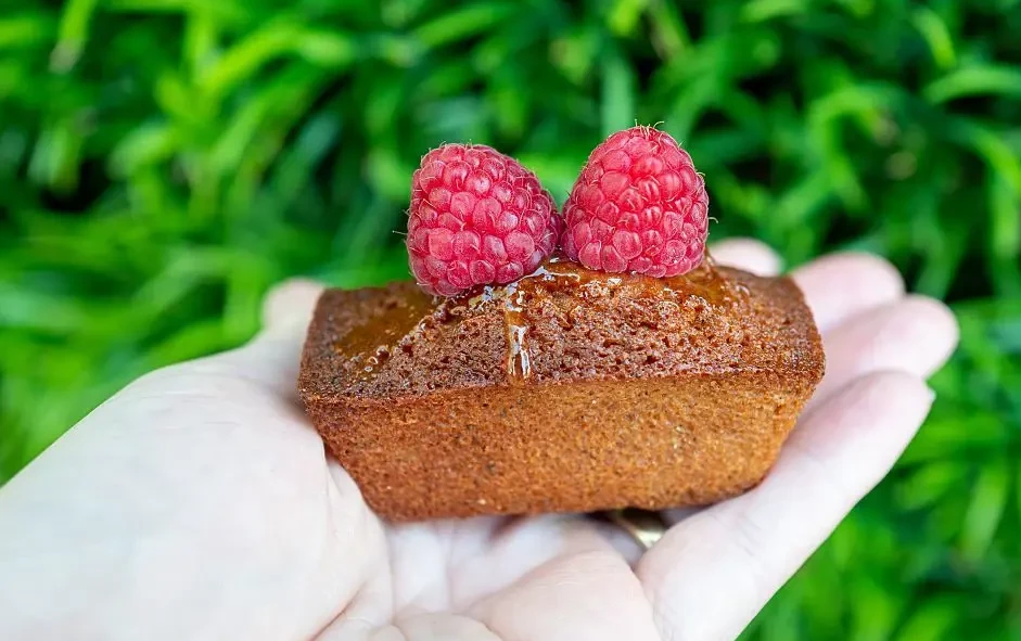 Pioneer Woman debuts handheld berry treats for peak season