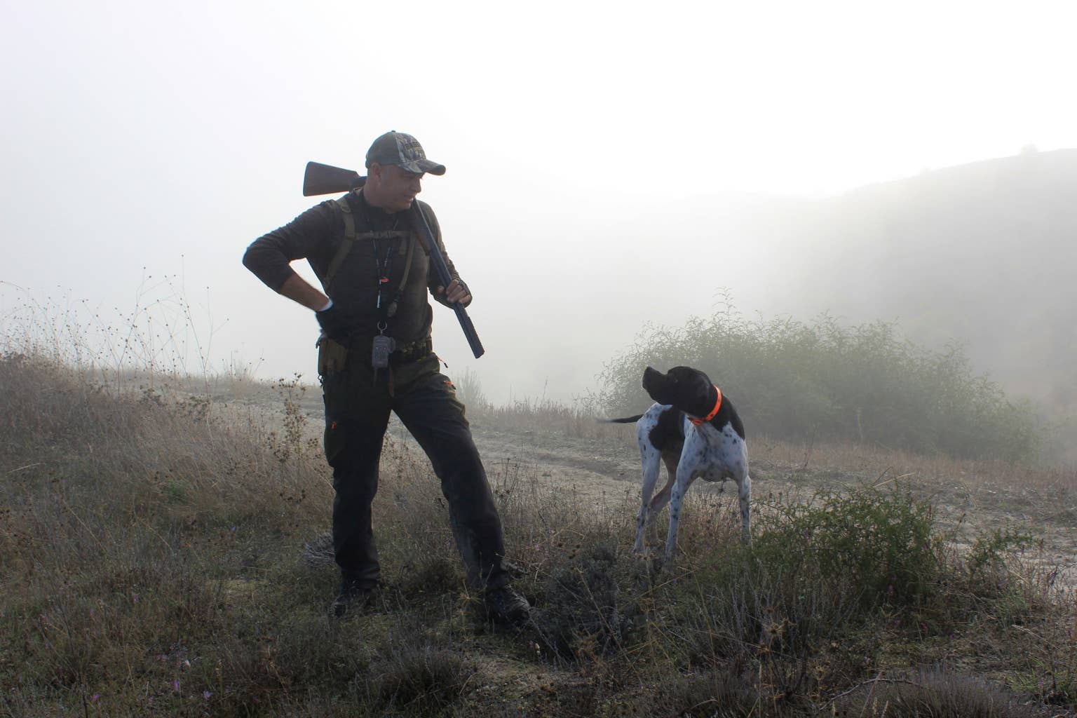 Nebraska dog accidentally discharges shotgun, injuring woman at ...