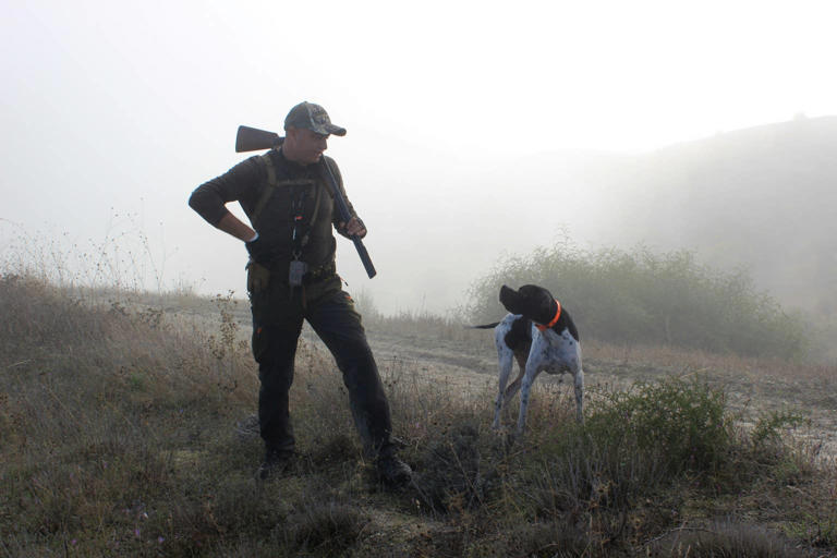 Nebraska dog accidentally discharges shotgun, injuring woman at ...