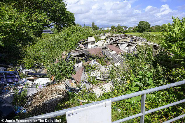 Widow's fury as council orders her to tear down sheds on wasteland she ...