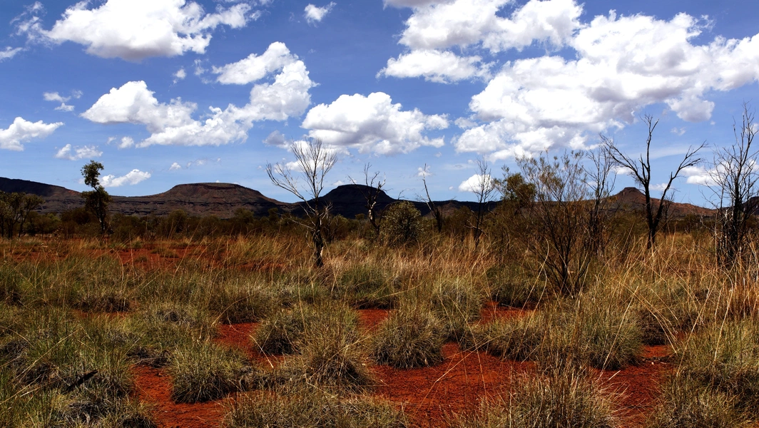 Epic Australian road trips worth slowing down for