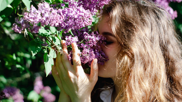 Your sense of smell can distinguish well over a trillion different odors