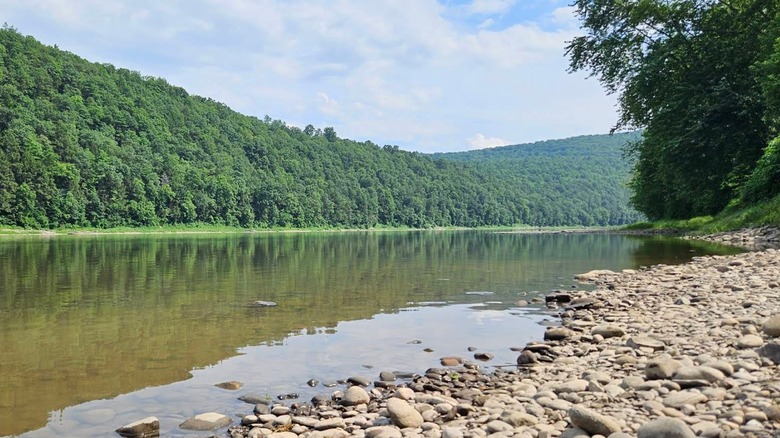 Pennsylvania's wildlife-packed state park has peaceful paddling and ...