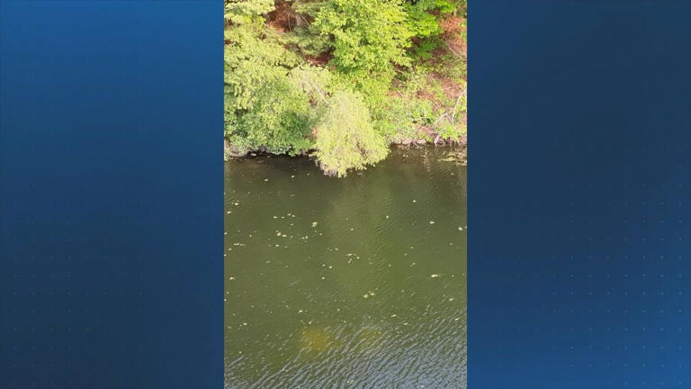 State police investigating submerged vehicle discovered in Lake Cochituate