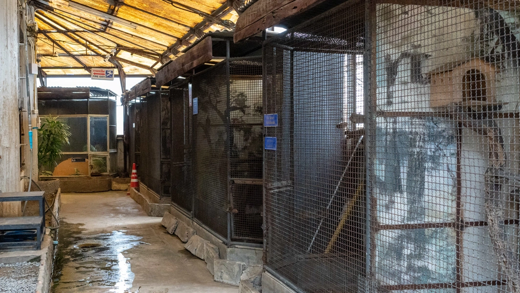 Zoos face welfare and conservation crossroads