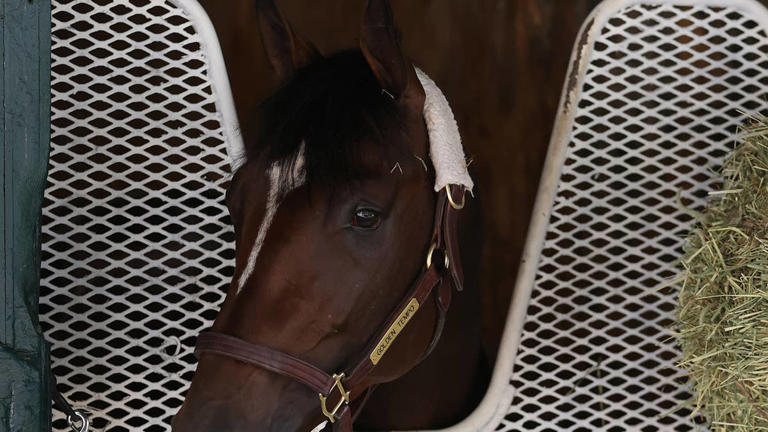 Golden Tempo to train at Keeneland for Jim Dandy