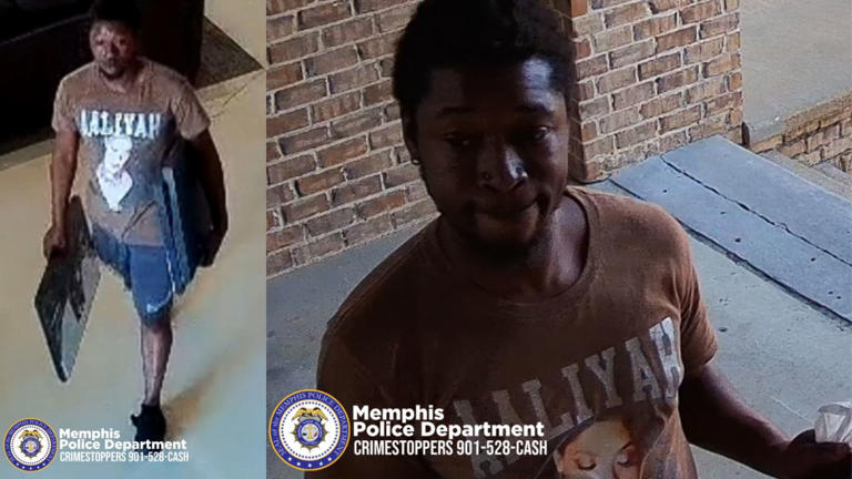 DoorDash driver charged in downtown Memphis art theft