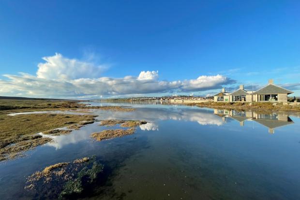 Plan for new wildlife viewing building on coast