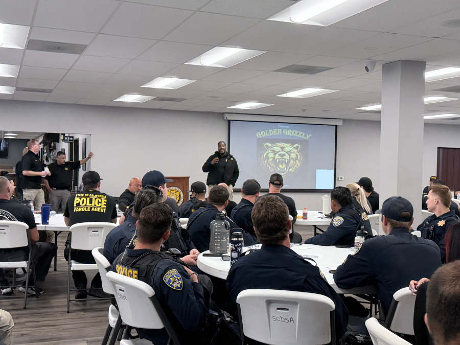 Operation Golden Grizzly: 13 arrested, multiple weapons seized