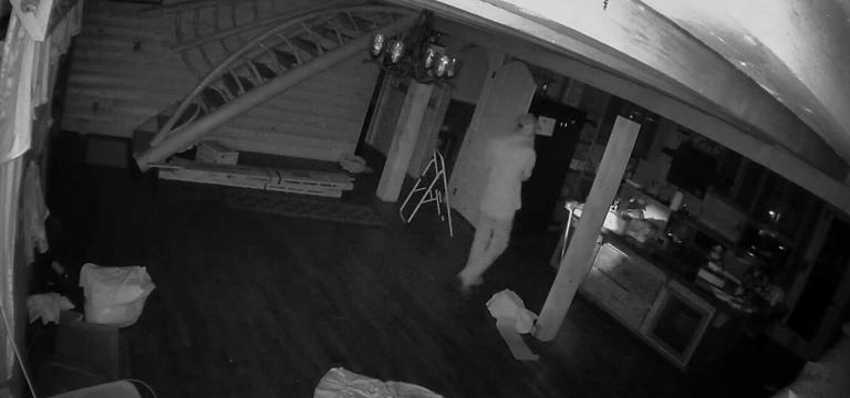 Grayson County Sheriff’s Office investigates burglary on Grayson ...