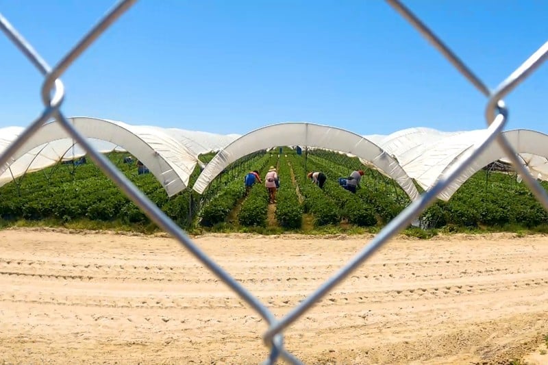 Moroccan union calls for stronger protections for seasonal workers in ...