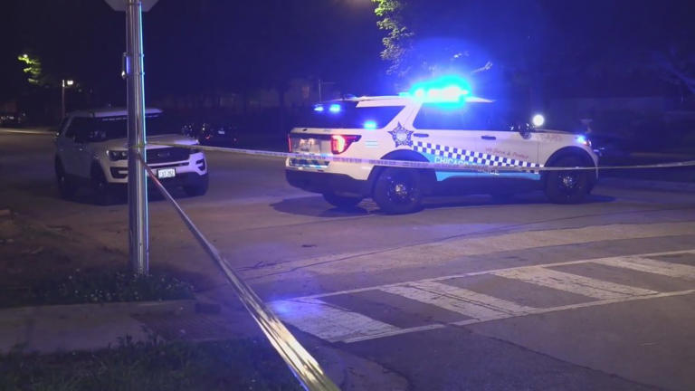 Recent violence in Chicago sparks push for 'No Crime Weekend' campaign