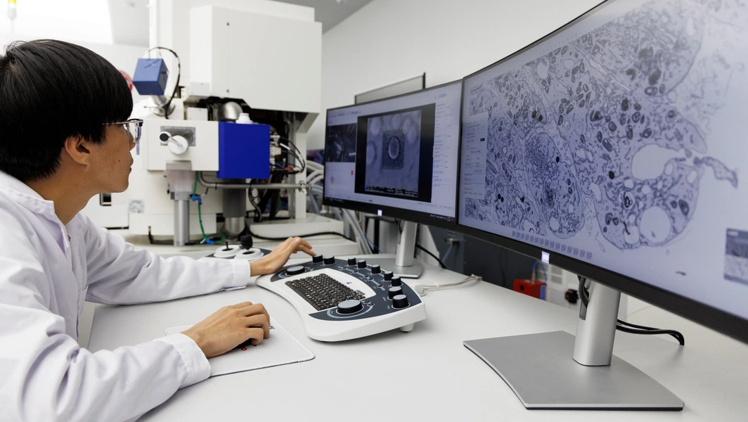 Scientists achieve breakthroughs in bismuth nanomedicine and MXene design