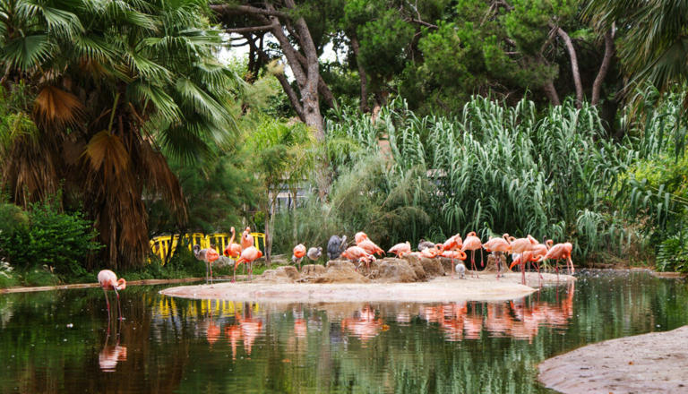 Don't blink: The best summer family travel deals are already here