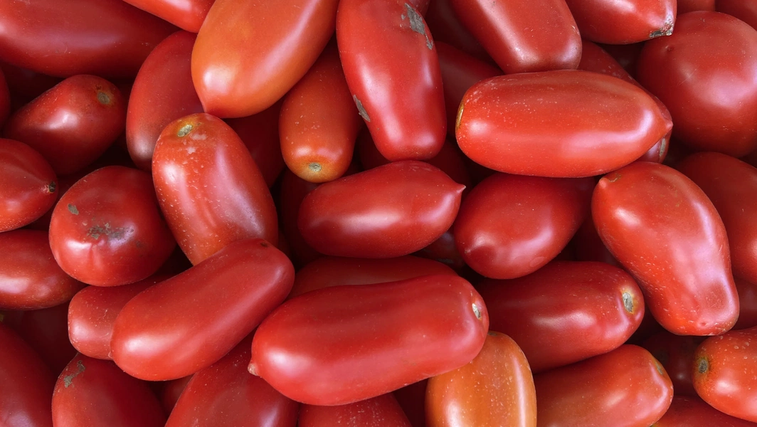 Smoky grilled corn salsa for summer nights