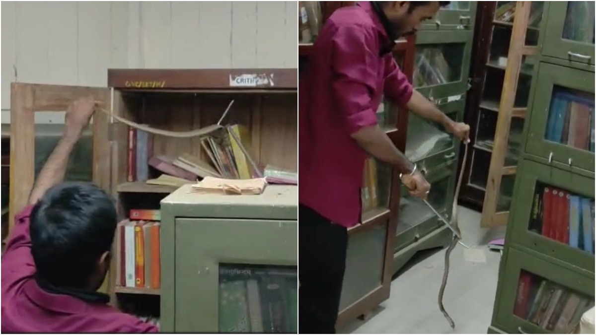 Snake found lurking among books at Kerala college library, video goes viral