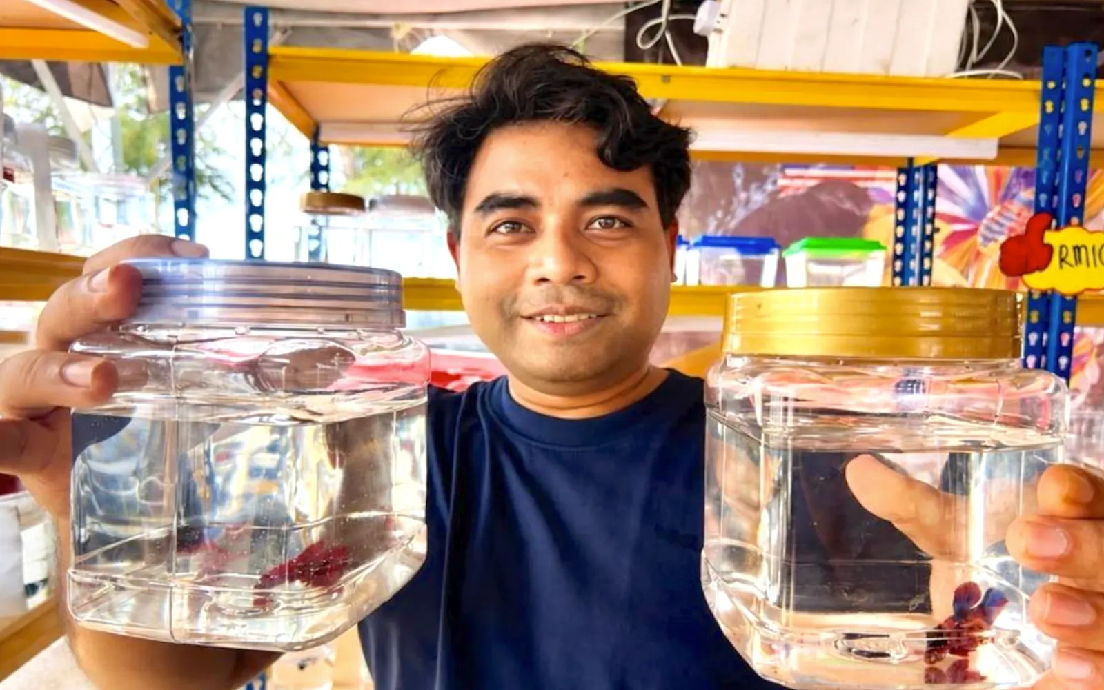 You betta believe it: this ornamental fish can fetch up to RM1,500