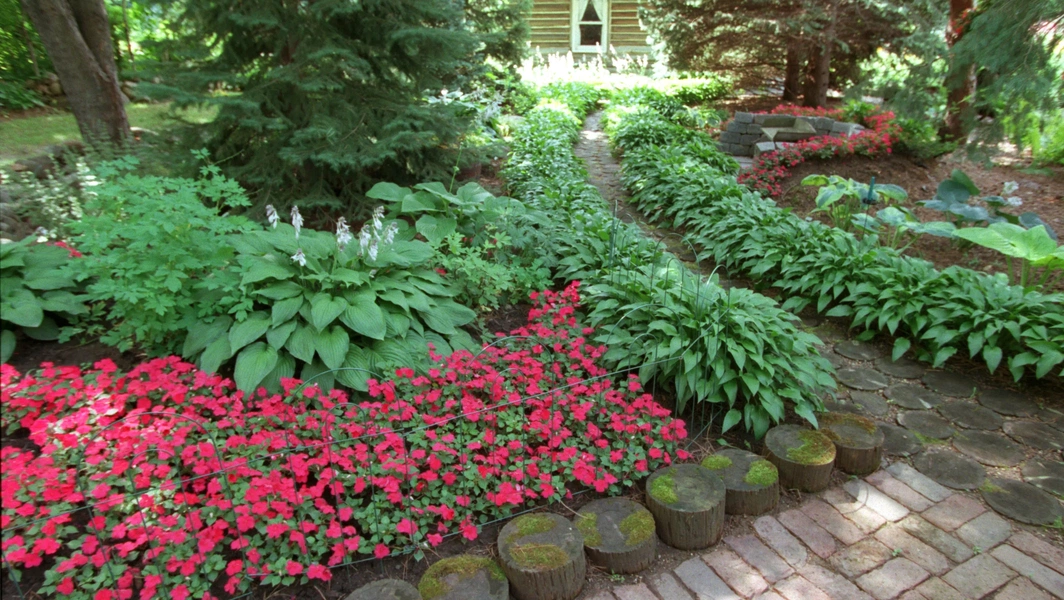 Shade garden ideas to transform tricky spots