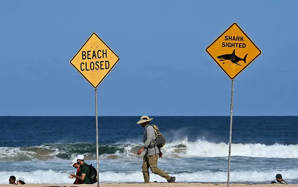 Third fatal shark attack in four weeks shocks Western Australia