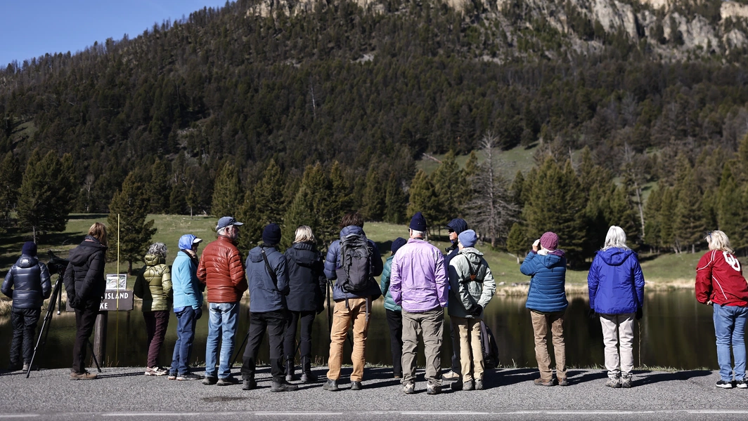 Tauck to launch exclusive small-group Yellowstone tours in 2027
