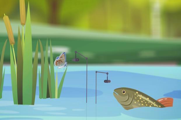 National park launches creative campaign to protect wildlife