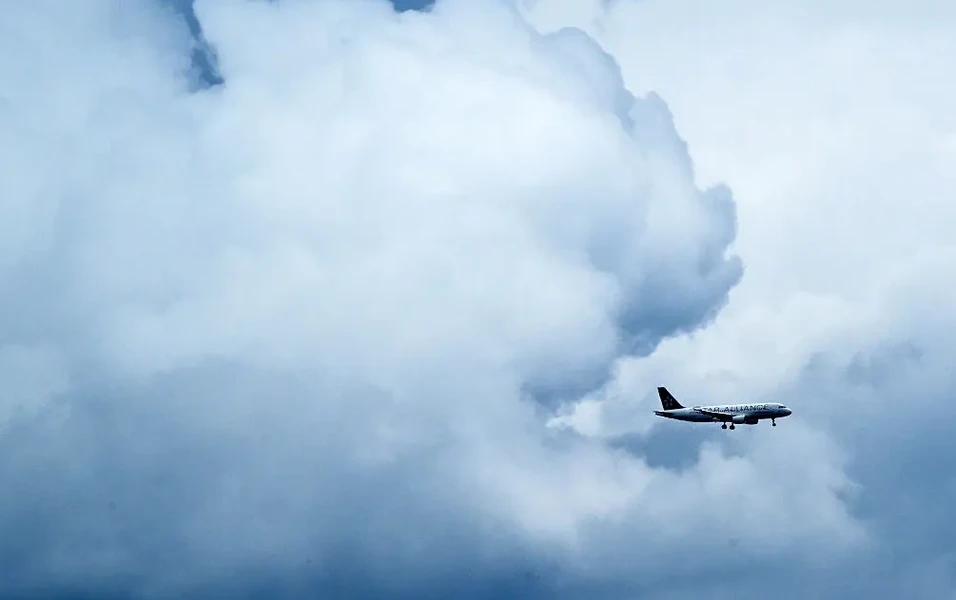 Jet fuel surge halves airline profit forecast as bankruptcies loom