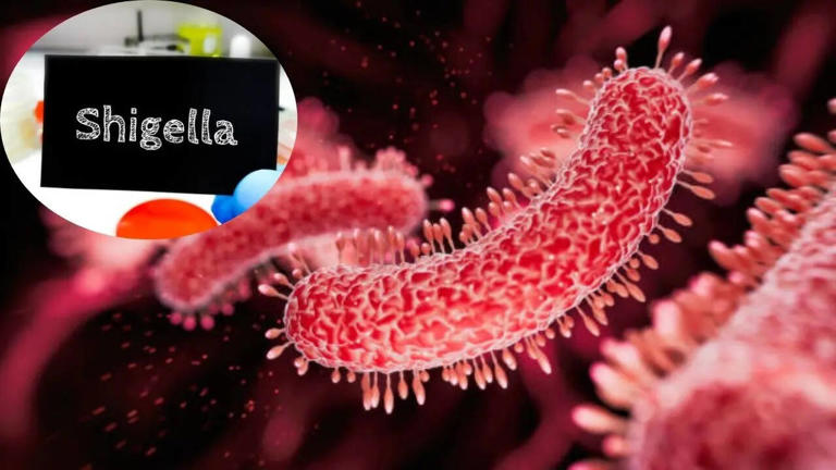 Deadly shigella infection claims 4-year-old in Kerala - What parents ...