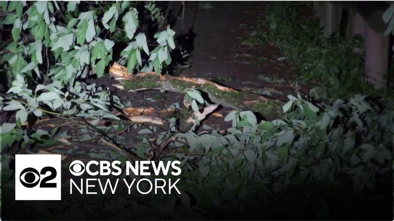Saturday storm leaves downed trees and damaged cars throughout the NYC area