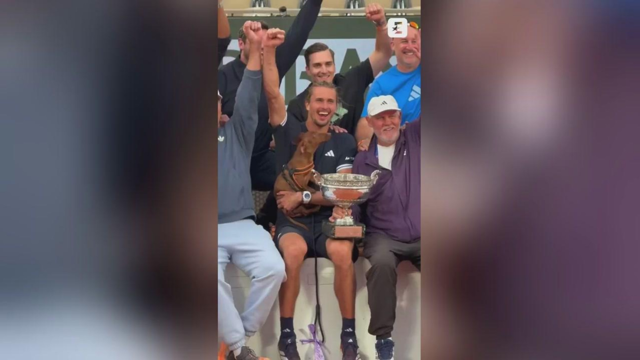 Tennis, Zverev festeggia la vittoria al Roland Garros con l'adorabile ...
