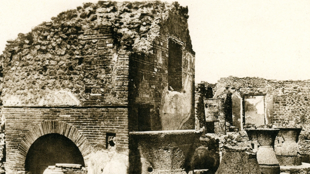 Equid skeletons found in Pompeii bakery shed light on AD 79 eruption