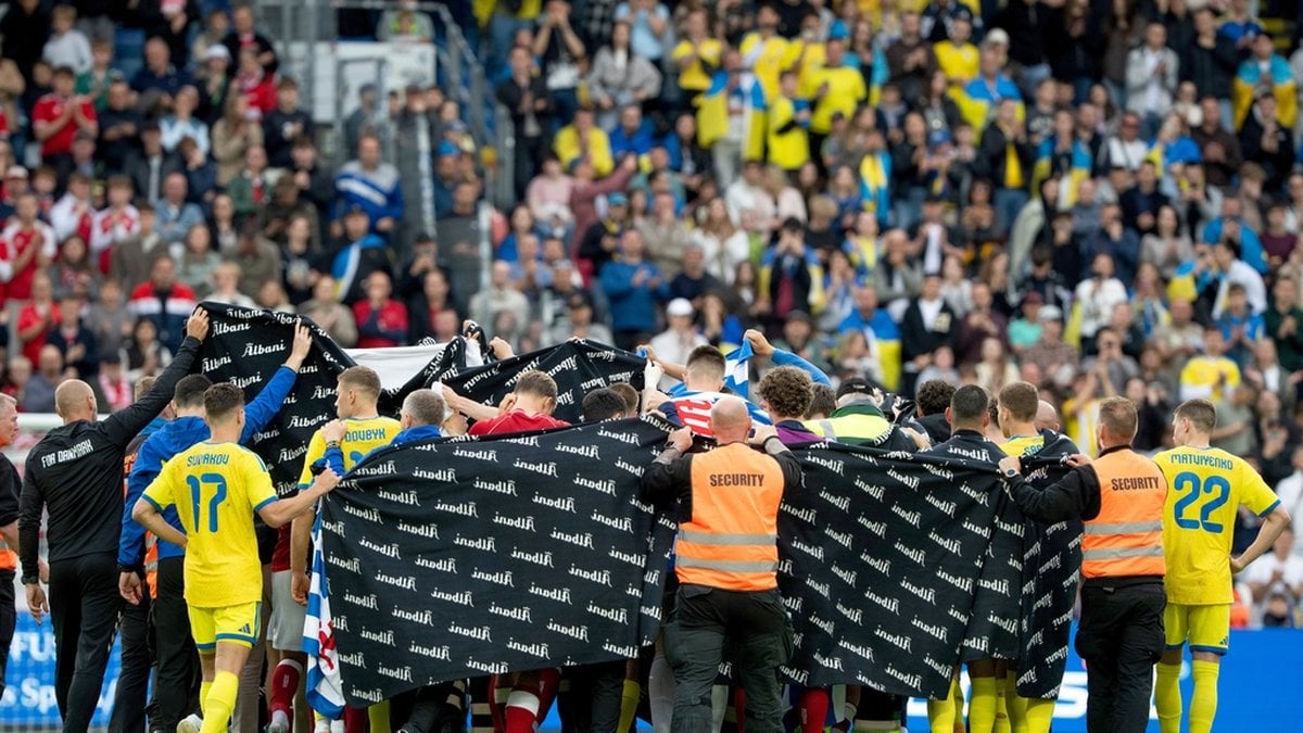 Läkaren: Eriksen ville gå av planen själv