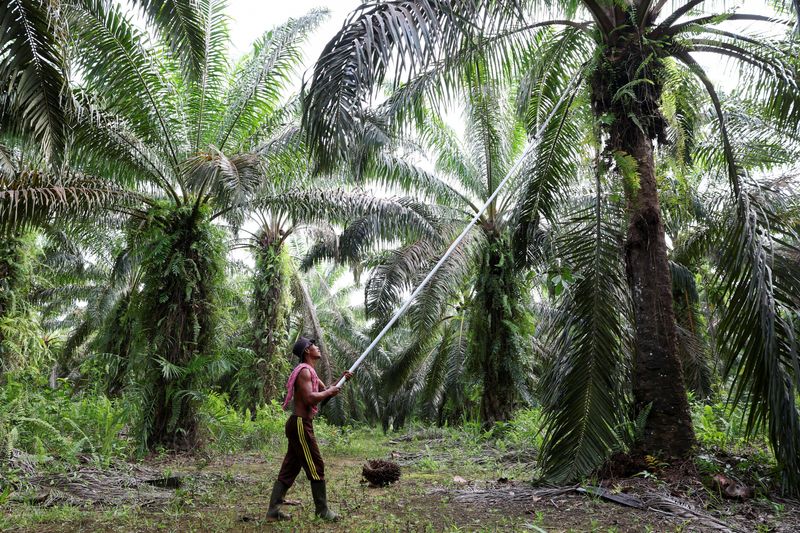 Indonesia fleshes out plan to strengthen state control over commodity ...