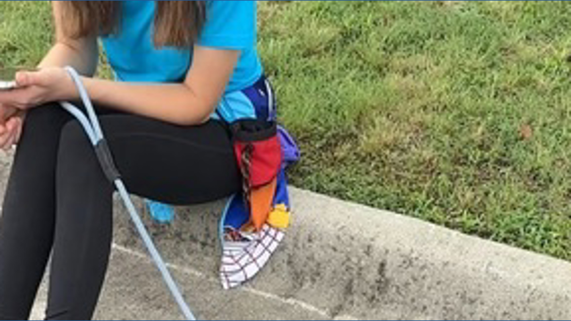 Big Paws pack walk prepares adoptable dogs for future homes