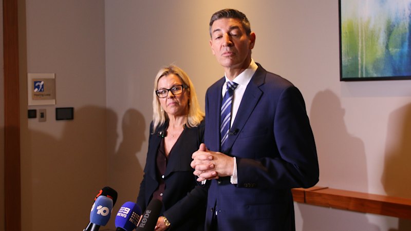 Zempilas 'open' to working with One Nation ahead of next WA election