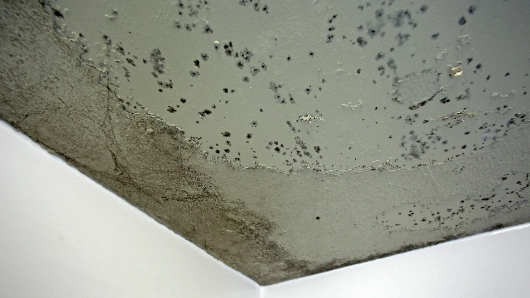 Beat mold for good with smarter cleaning tricks
