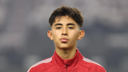 Biodata Welber Jardim, pemain Timnas Indonesia keturunan Brasil: umur ...