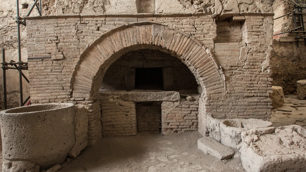 Equid skeletons found in Pompeii bakery shed light on AD 79 eruption