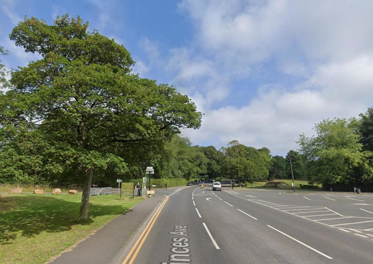 Roundhay Park: Plans to protect playing fields