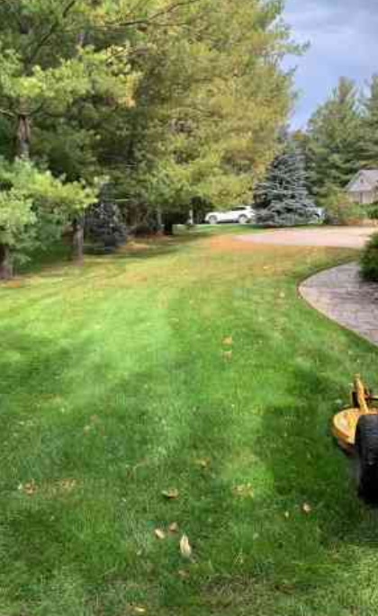 Lawn care tips for a healthy and green yard