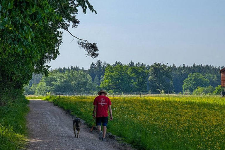 New dog walking rule from June 29 with UK households facing £500 fine