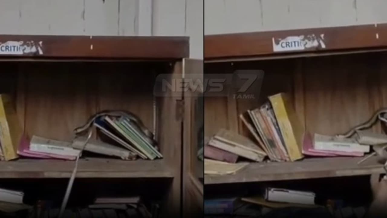 Cobra found hiding among books in Kerala college library, sparks panic ...