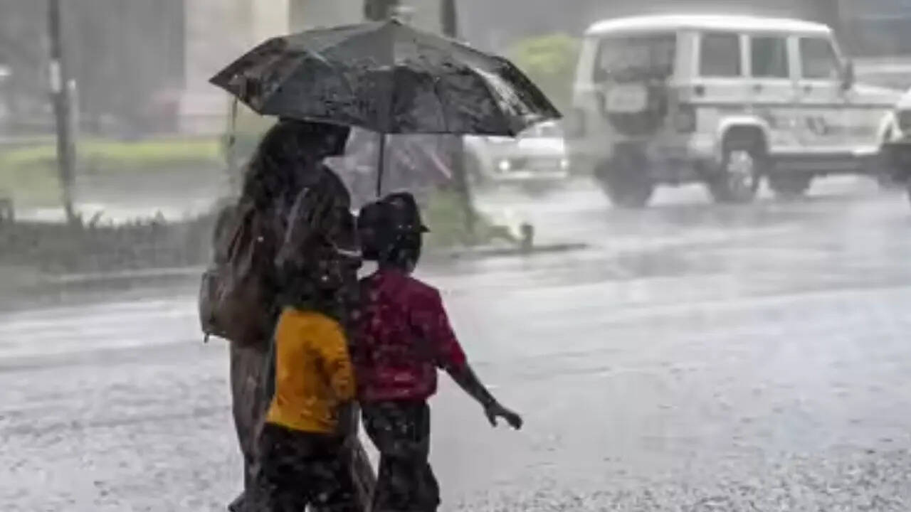 Heavy rain warning for Karnataka; IMD issues red alerts in multiple ...
