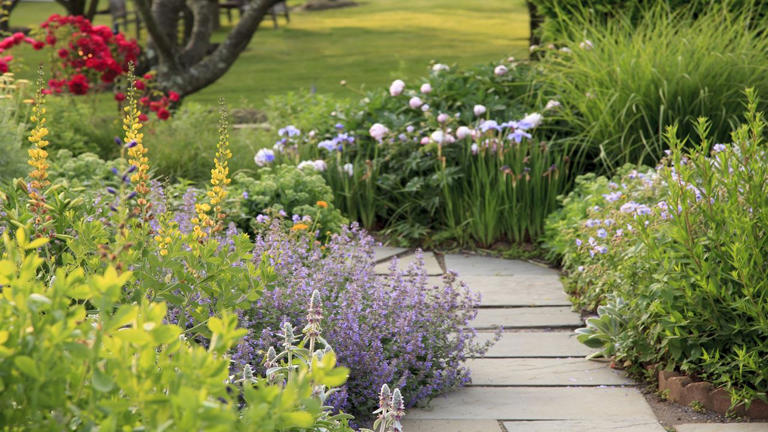 Garden growing too fast? Here's how landscapers rein it in, whilst ...