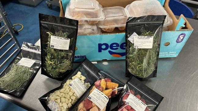 Feed the need: House of Hope works to address hunger and hardship ...
