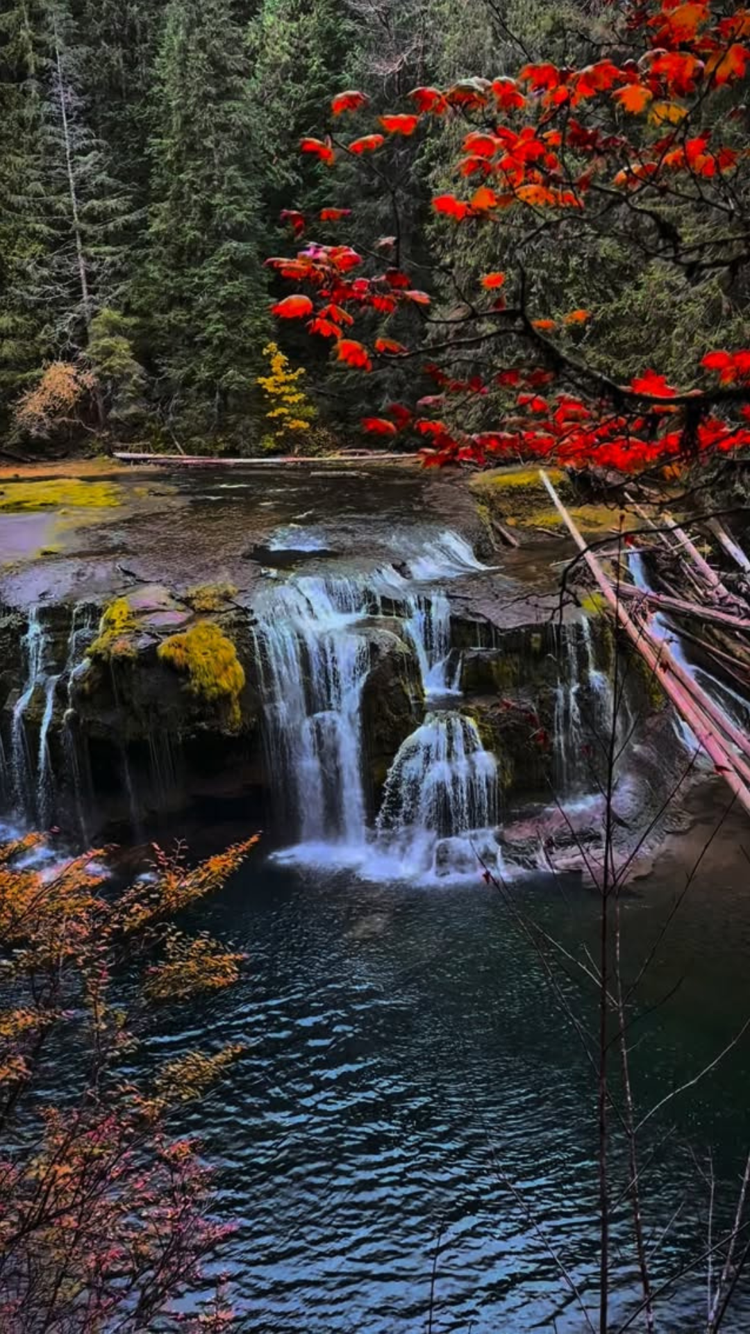 The magic of waterfalls in Gifford Pinchot National Forest