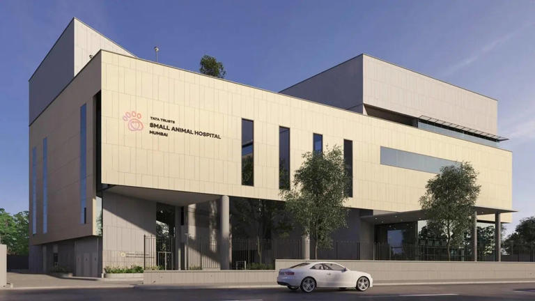 Tata-backed small animal hospital sees board churn