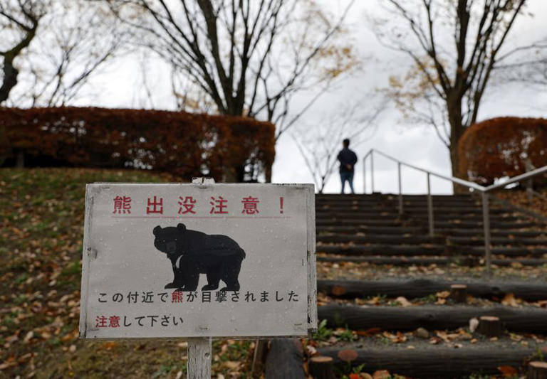 Japanese city suspends 94 schools after first-ever bear sighting