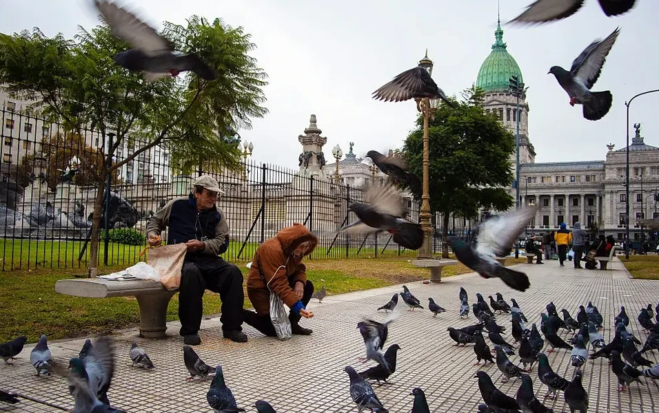 How to feed birds the right way