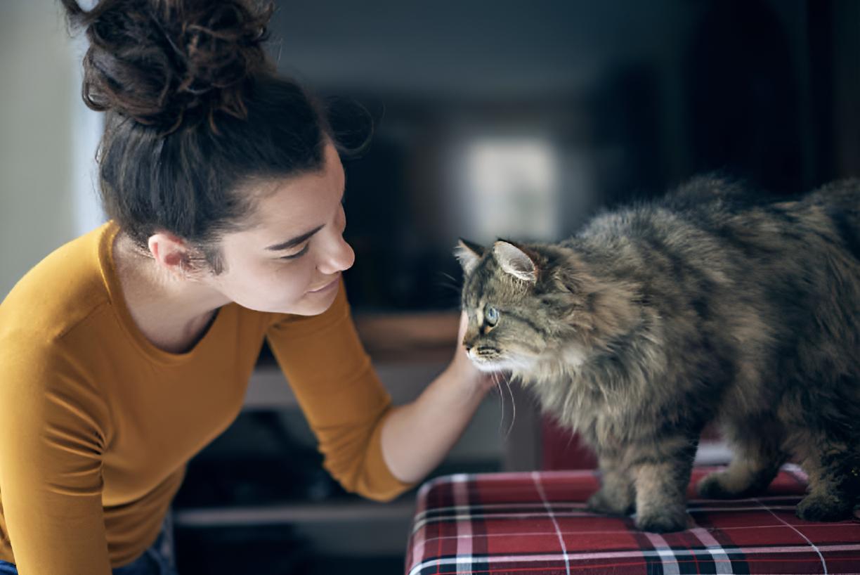 Nicole, etóloga felina: "Si ves todas estas señales en tu gato no ...
